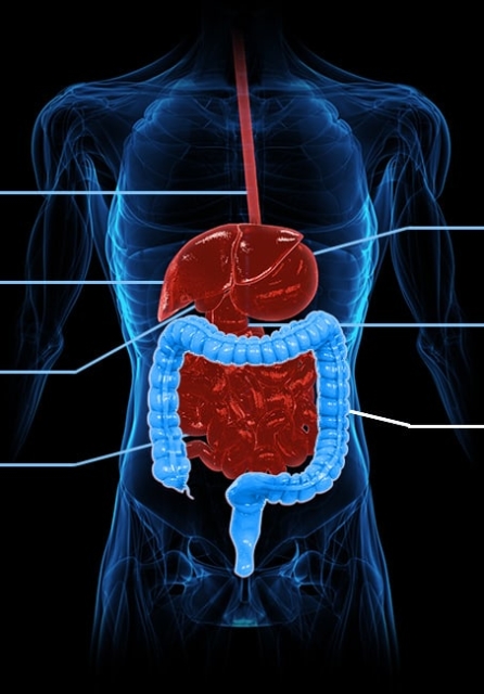 Home | Gastroenterology Associates