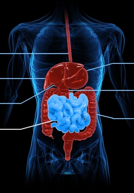 Home | Gastroenterology Associates